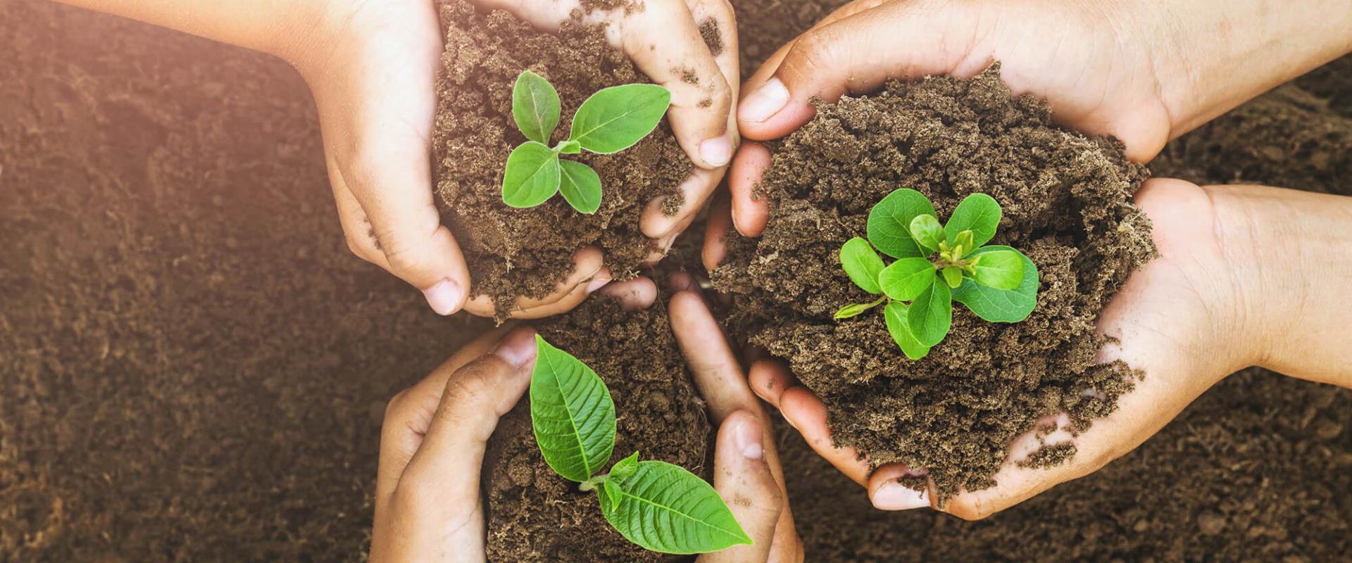 The Basics of Keeping a Balanced Investment Portfolio | Hunter Wealth ...
